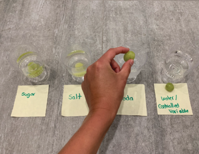 Science Daycare Activities | HiMama Activities