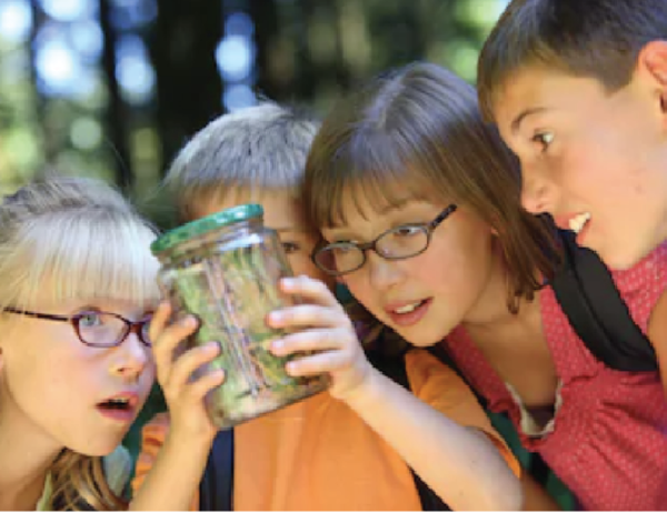Bugs in a Jar Counting Activity