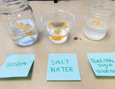 Seasonal and Holiday Daycare Activities | HiMama Activities