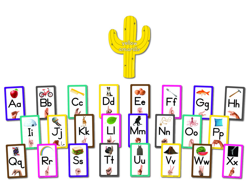 Daily Basics: Lost Yellow Piece/Letters A-X Alphabet Displays