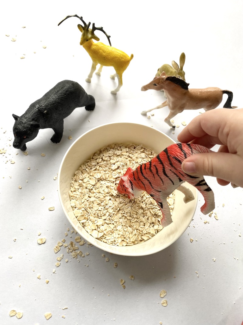 Feeding Animals: Infant