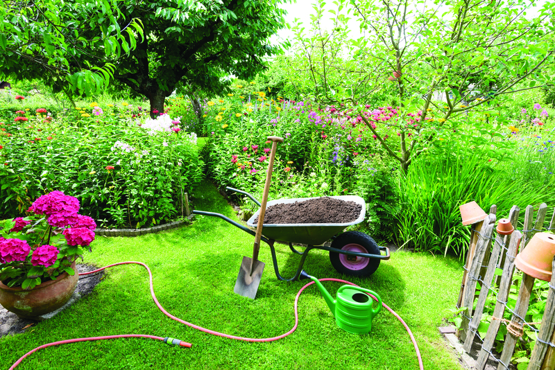 What's in Your Garden?