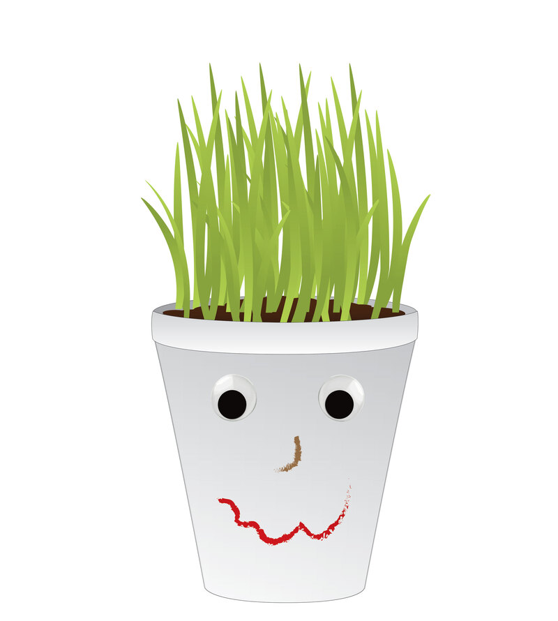 Art: Grassy Head