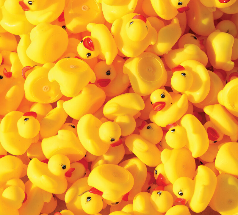 Movements: Duck Search