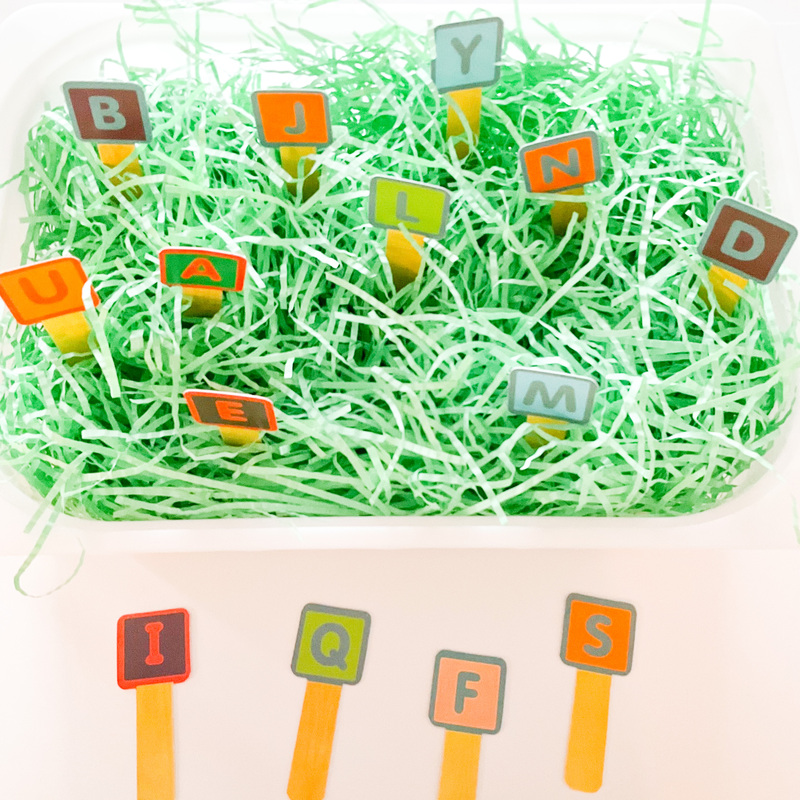 Sensory Bin: Letter Hunt