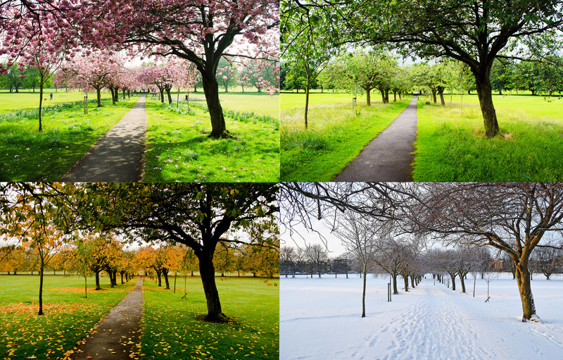 Which Season