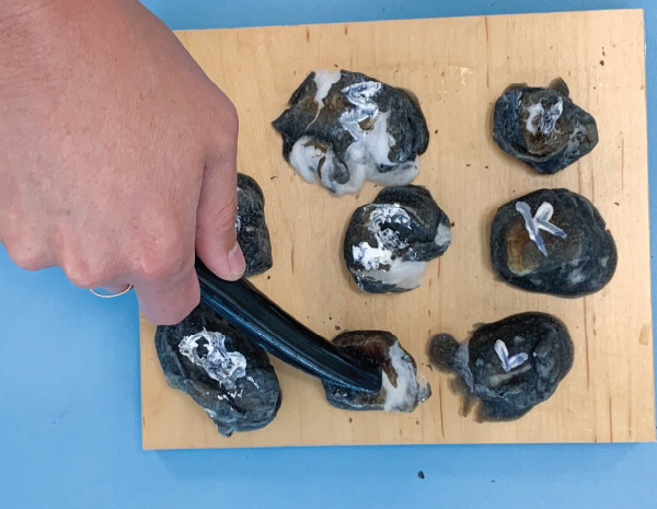 Smashing Letter Moon Rocks