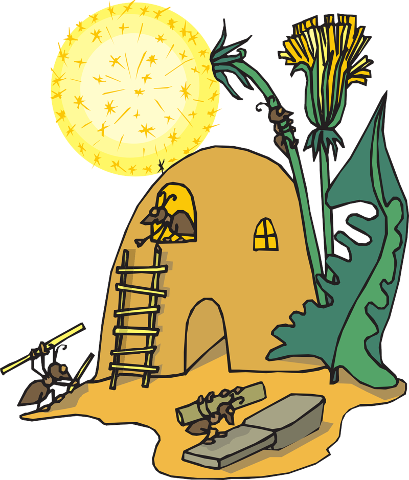 Five Little Ants