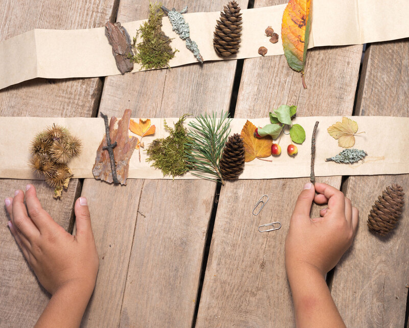 Art: Nature Creations