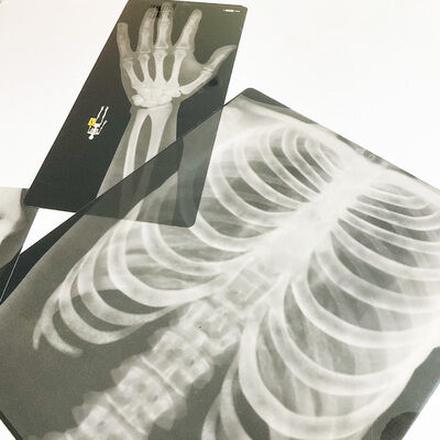 All About Me Activities for Your Daycare | HiMama Activities