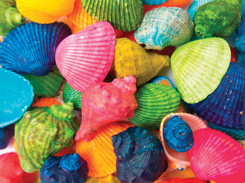 Art: Painted Seashells