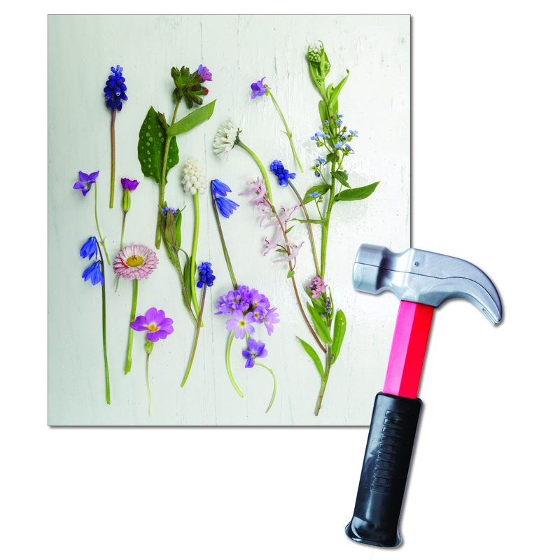 Art: Nature Color Transfer