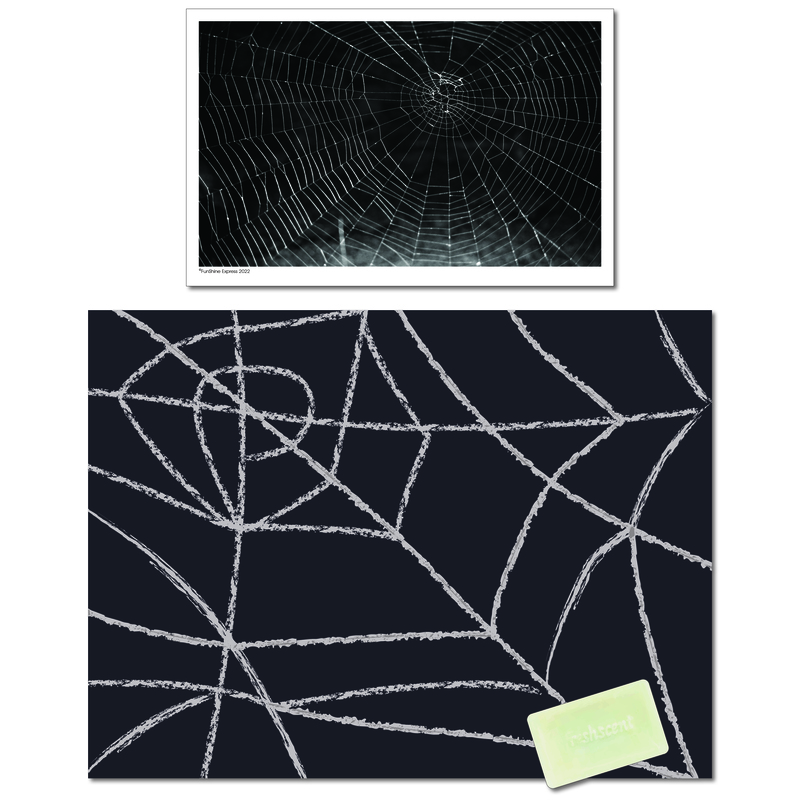 Art: Lines and Designs