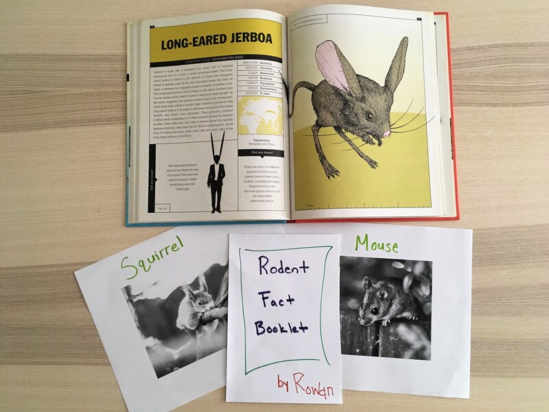 Rodent Fact Book