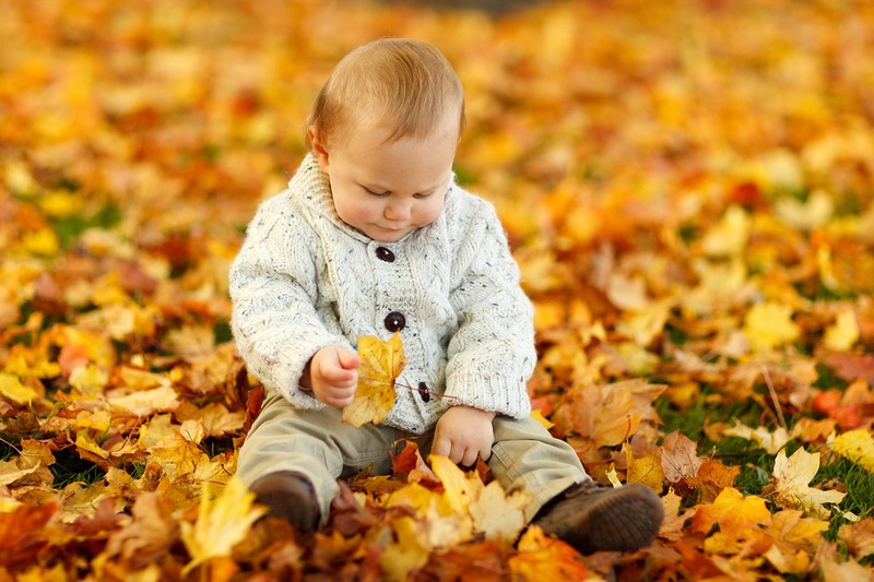 Fall Leaves Exploration: Infant