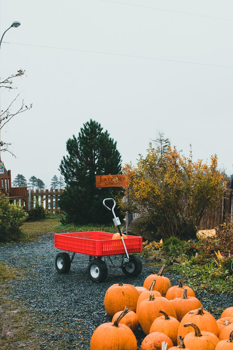 Moving Pumpkins