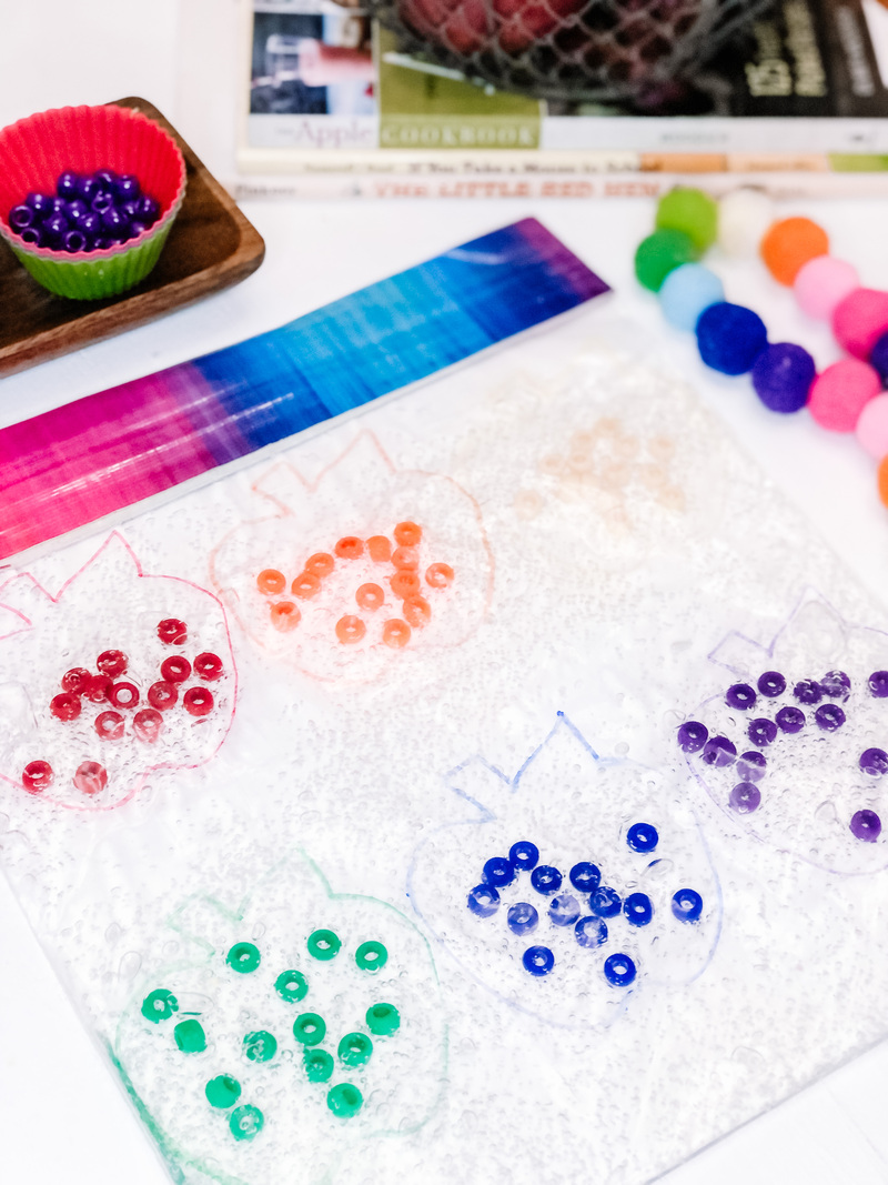 Apple Color Sort Sensory Bag