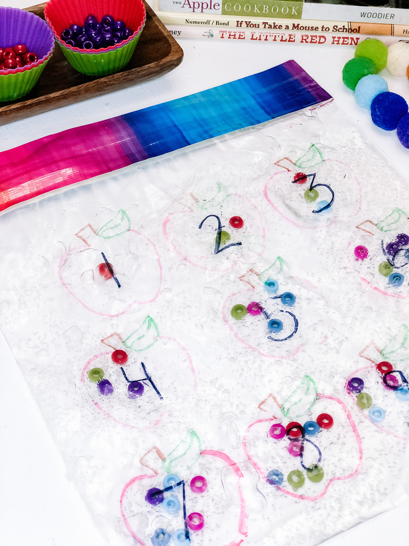 Apple Counting Sensory Bag