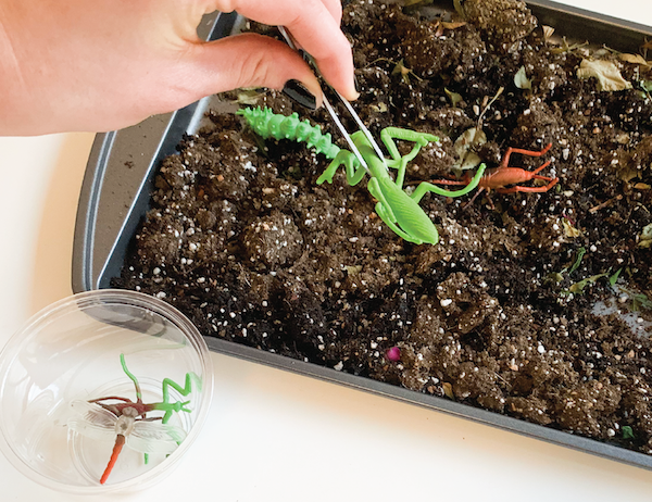 Find the Bugs - Fine Motor Activity