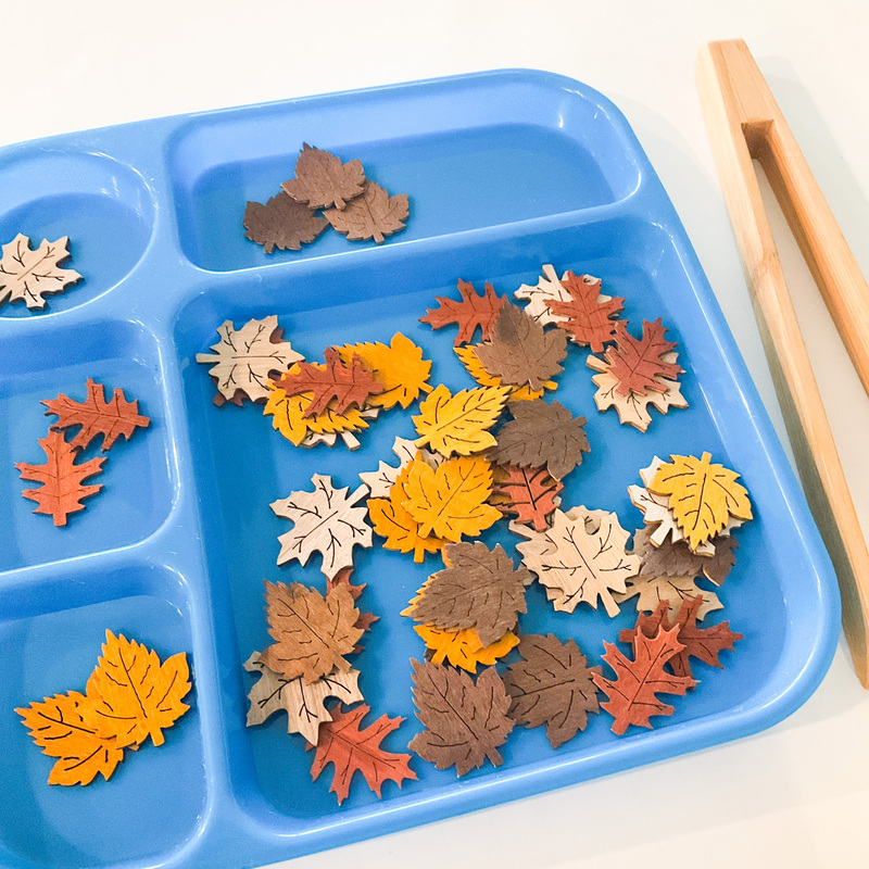 Leaf Sorting by Color