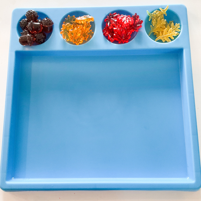 What can you create?