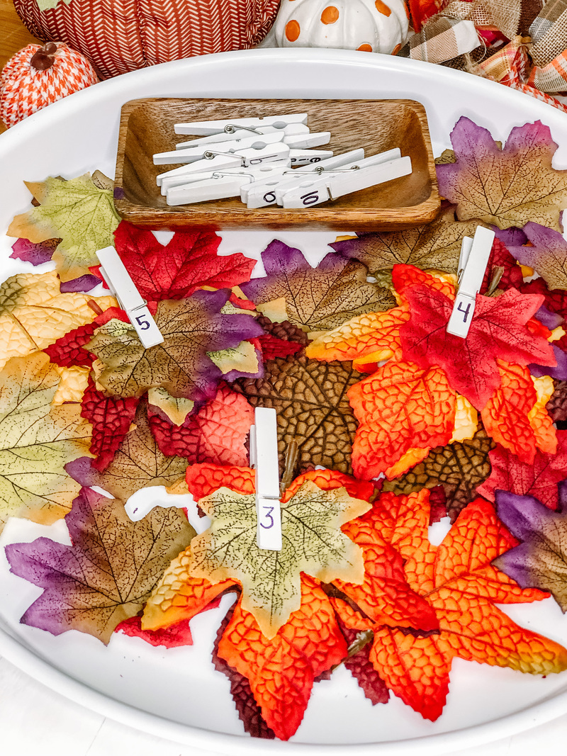 Leaf Counting Sensory Tray