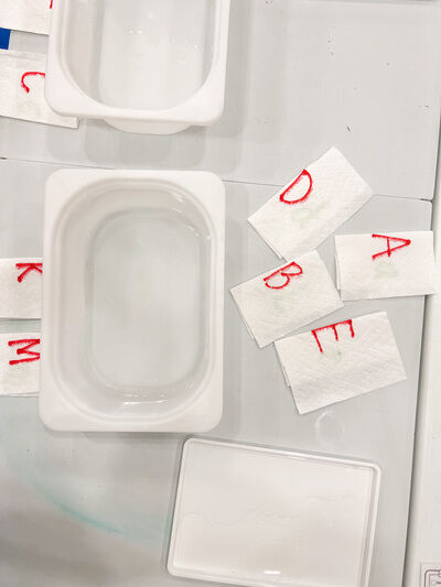 Alphabet Daycare Activities | HiMama Activities