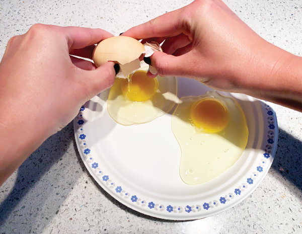 Egg Cracking Diversity Activity egg-cracking-diversity-activity