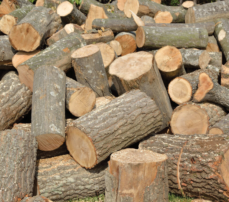 Movements: Winter Log Roll