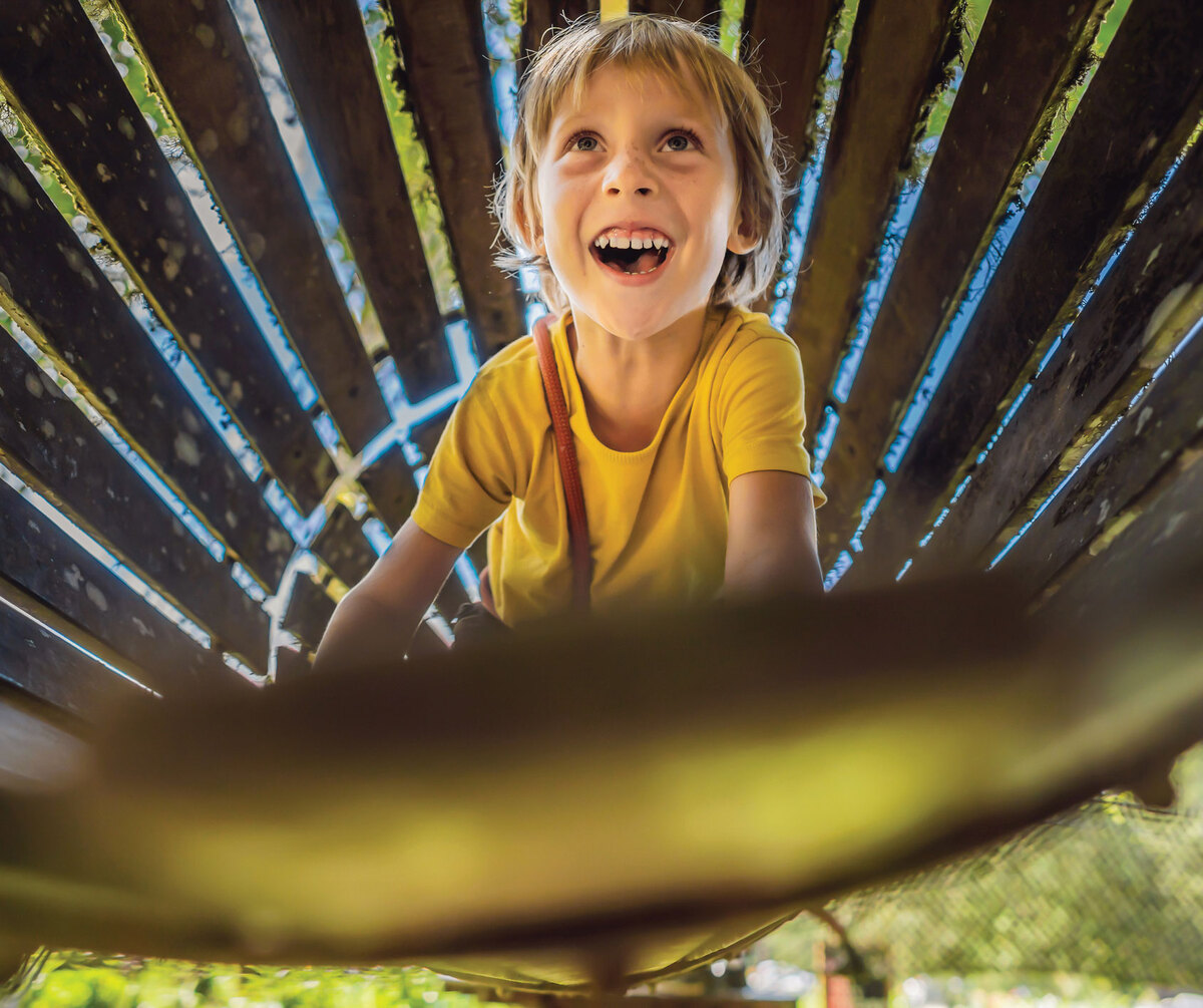 Movements: Pet Obstacle Course